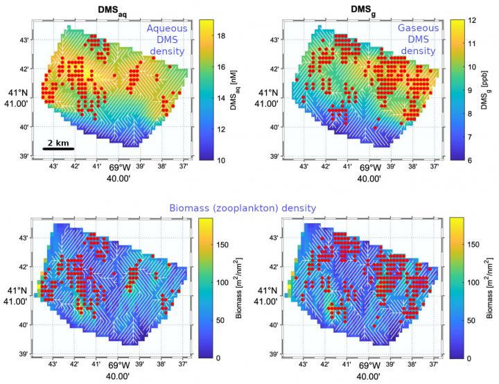 DMS distribution and food dens [IMAGE] | EurekAlert! Science News Releases