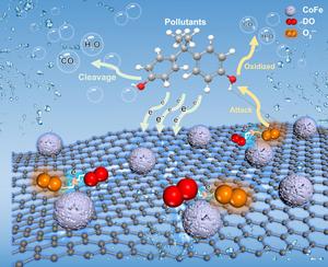 Water self-purification achieved via electron | EurekAlert!
