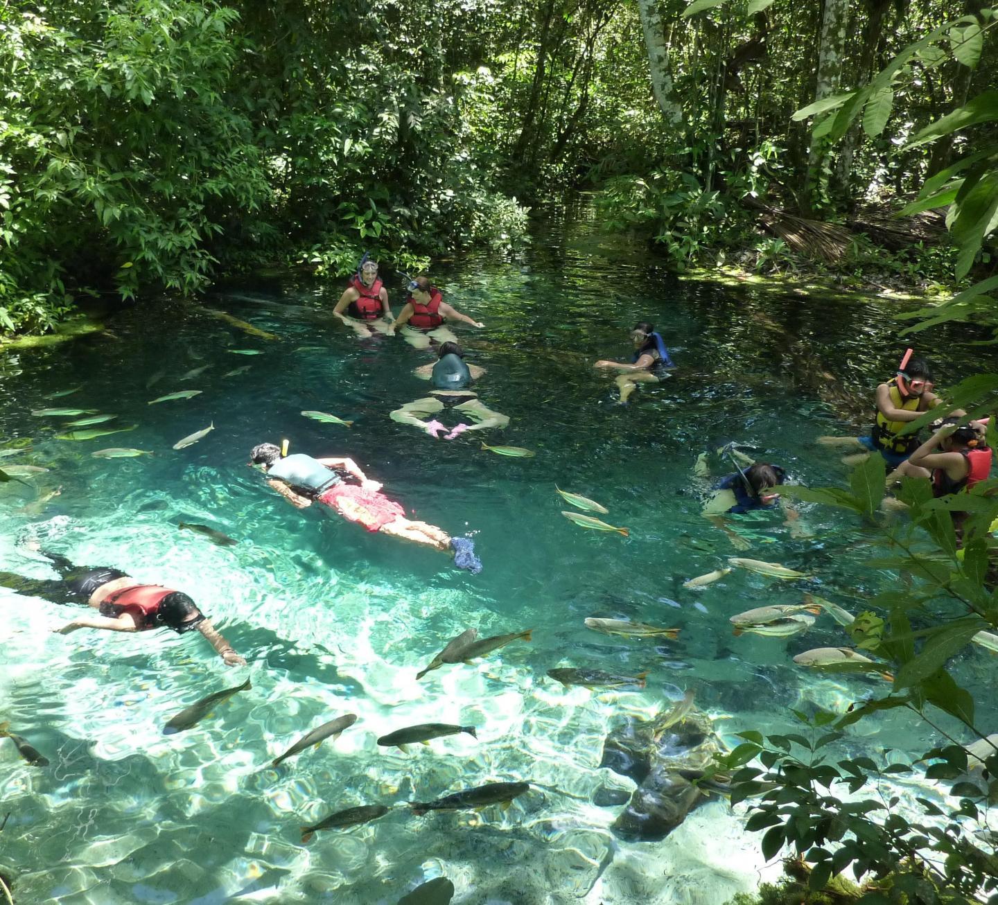 Is the eco-tourism boom putting wildlife in a | EurekAlert!