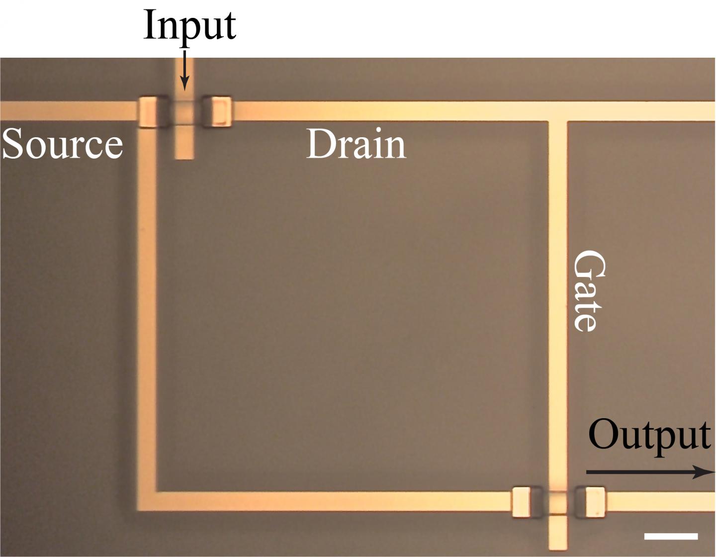 A New Transistor Architecture [IMAGE] | EurekAlert! Science News Releases