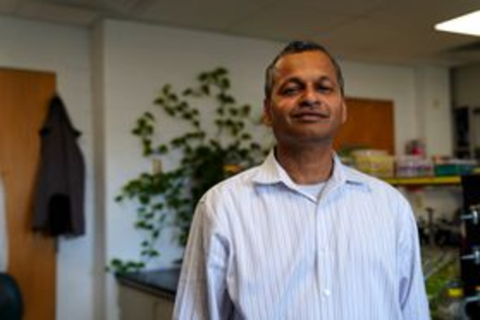 Visvanathan Ramamurthy WVU [IMAGE] | EurekAlert! Science News Releases