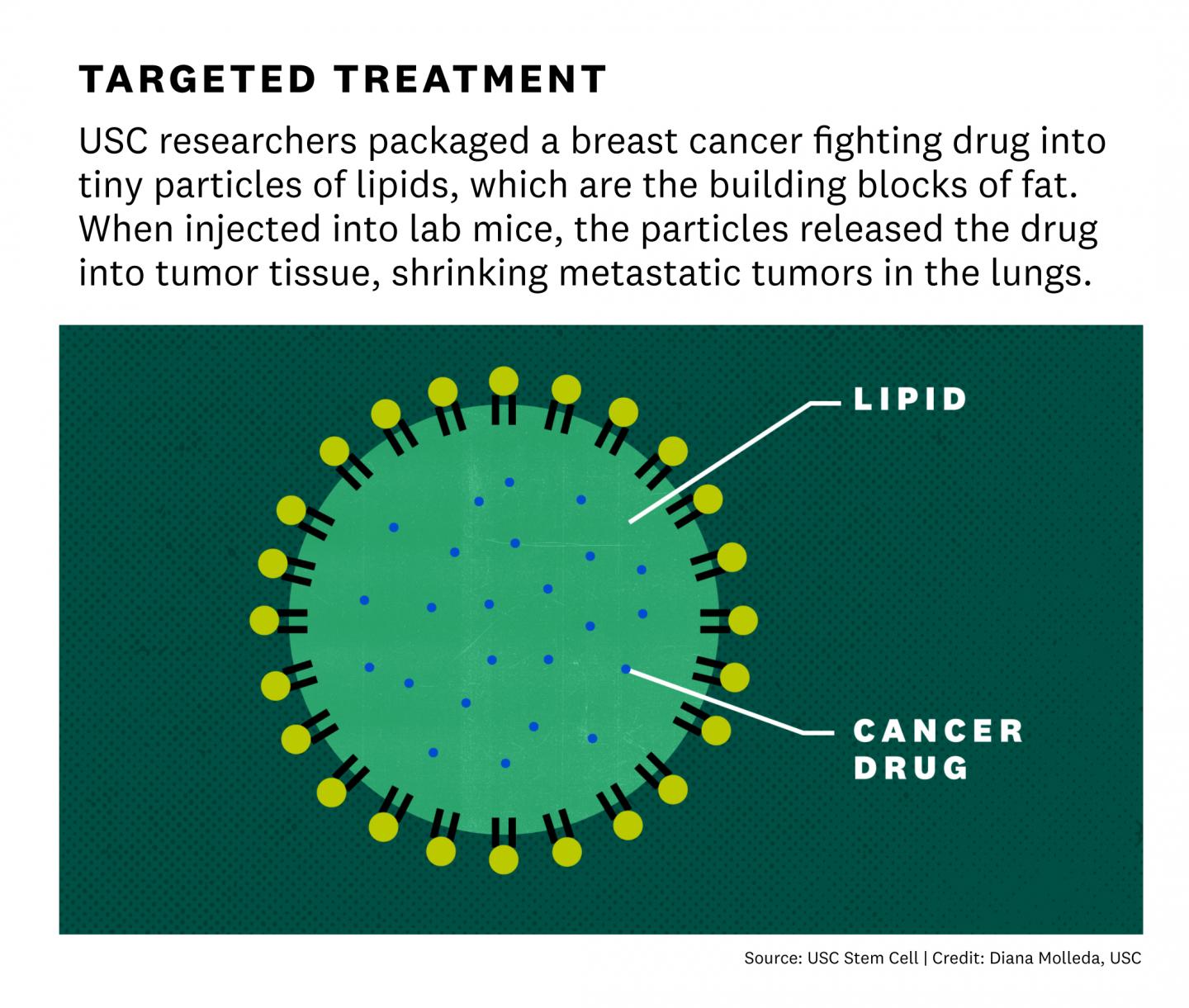 Targeted Treatment [IMAGE] | EurekAlert! Science News Releases