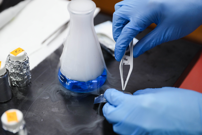 CORE Scientists Reveal 3D Prin [IMAGE] | EurekAlert! Science News Releases