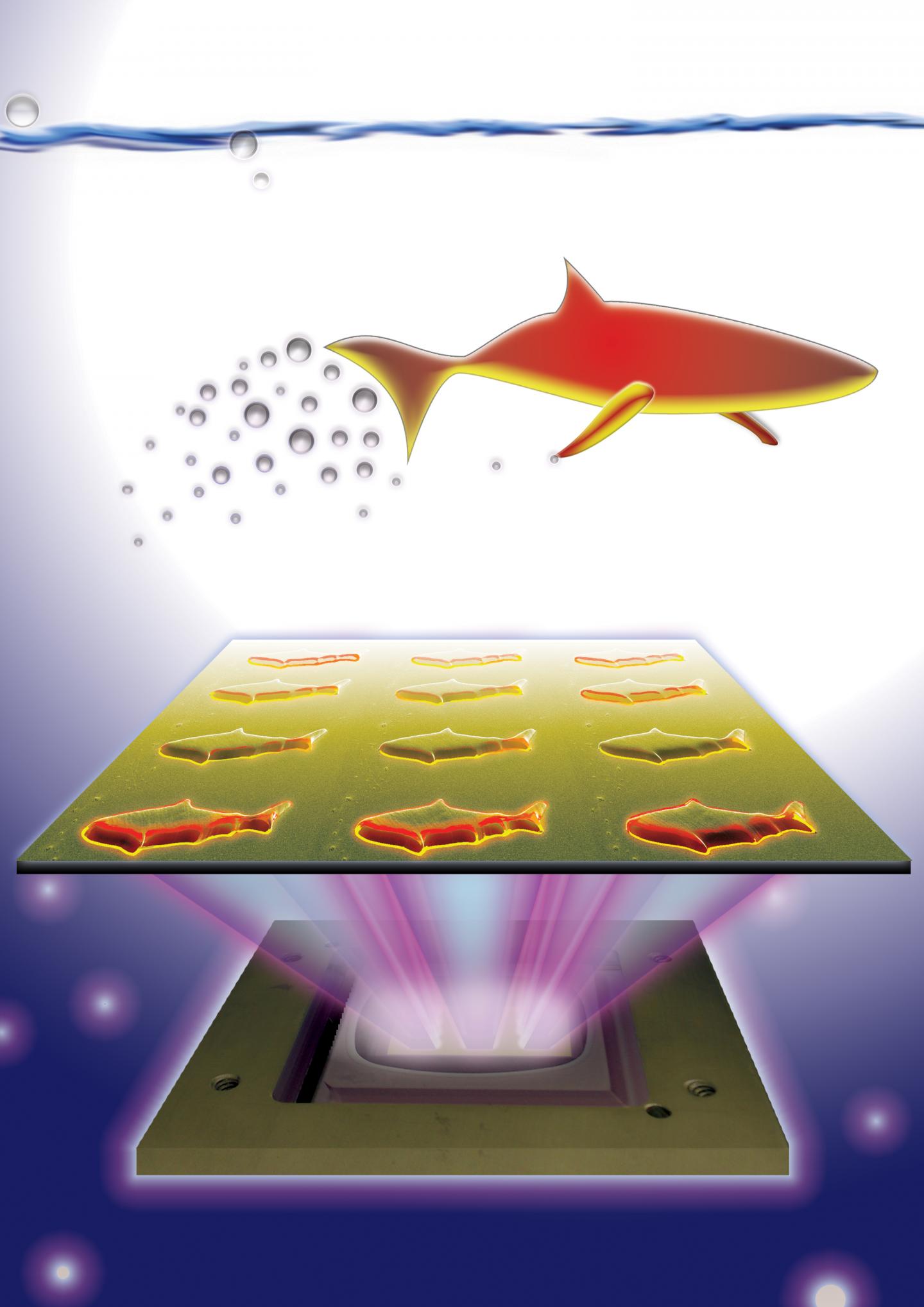 3-D-Printed Microfish [IMAGE] | EurekAlert! Science News Releases
