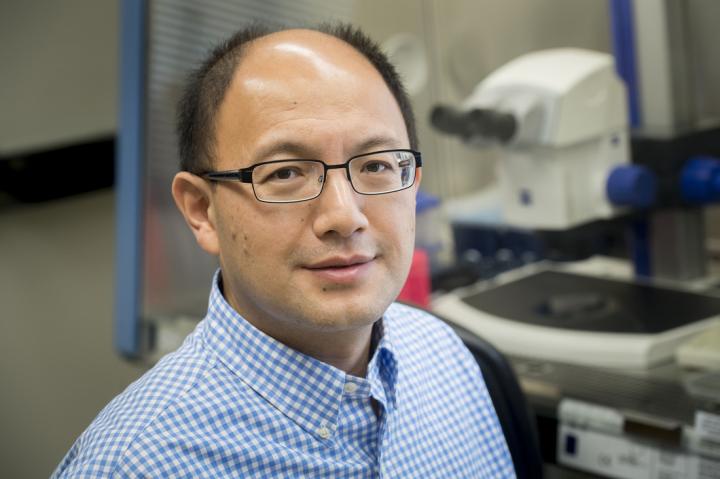 Rui Zhao, University of Alabam [IMAGE] | EurekAlert! Science News Releases