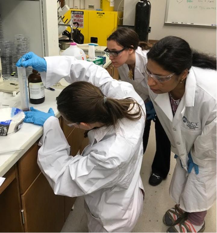 GIRLS 2 [IMAGE] | EurekAlert! Science News Releases