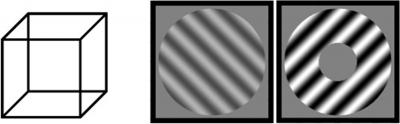 Seeing v. Noticing, in the Brain (1 of 2) | EurekAlert!