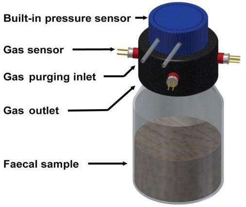 Fecal Fermentation System [IMAGE] | EurekAlert! Science News Releases