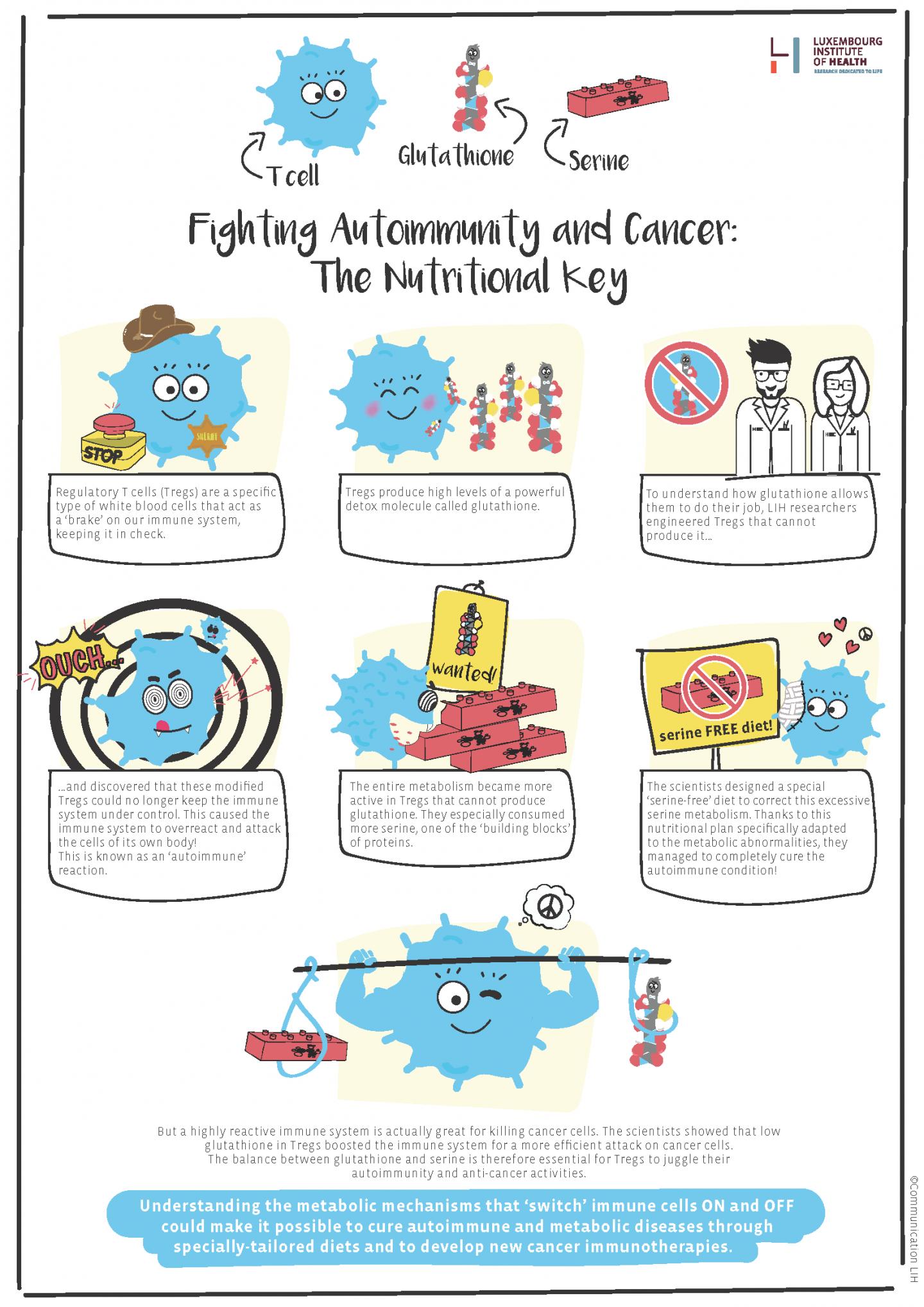 Fighting Autoimmunity and Canc [IMAGE] | EurekAlert! Science News Releases