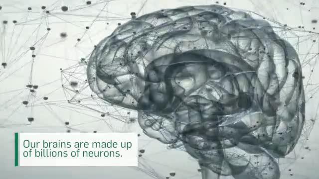 Visualization of newly formed synapses with u | EurekAlert!