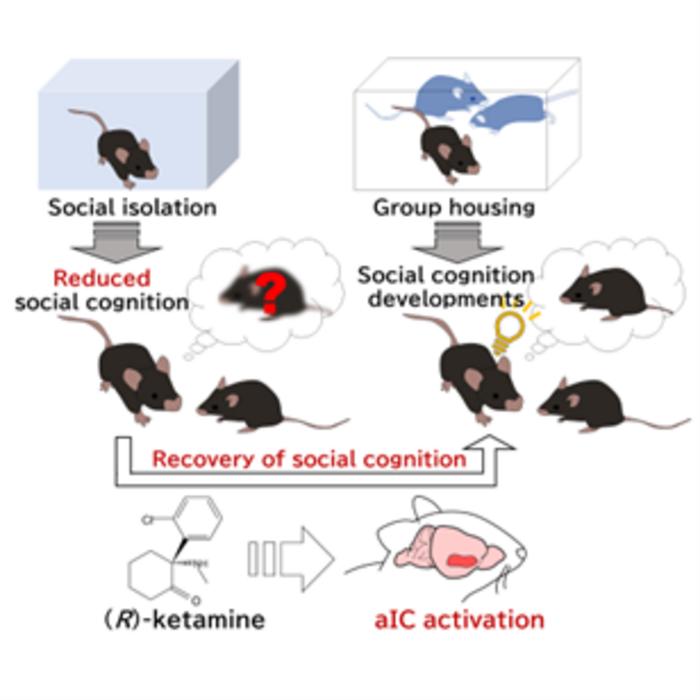 Fig. 1 [IMAGE] | EurekAlert! Science News Releases