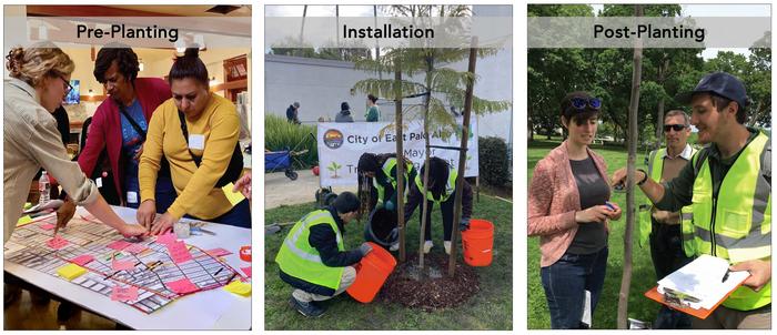 Examples of resource allocatio [IMAGE] | EurekAlert! Science News Releases