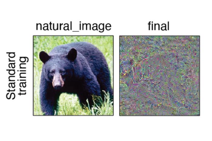 Neural network images [IMAGE] | EurekAlert! Science News Releases