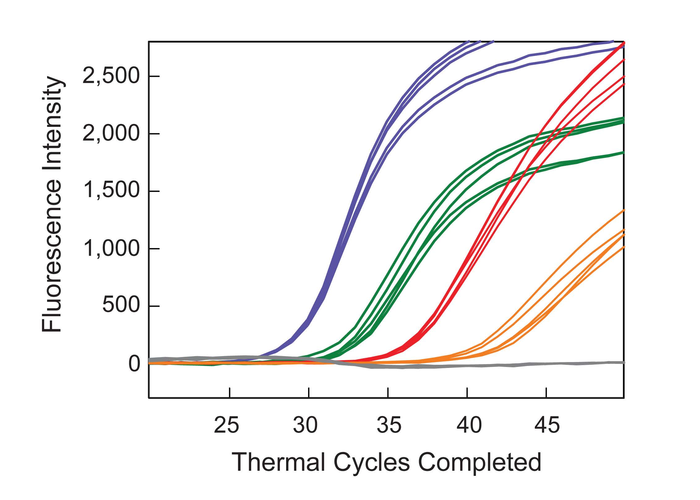 New assay shows promise for ad [IMAGE] | EurekAlert! Science News Releases