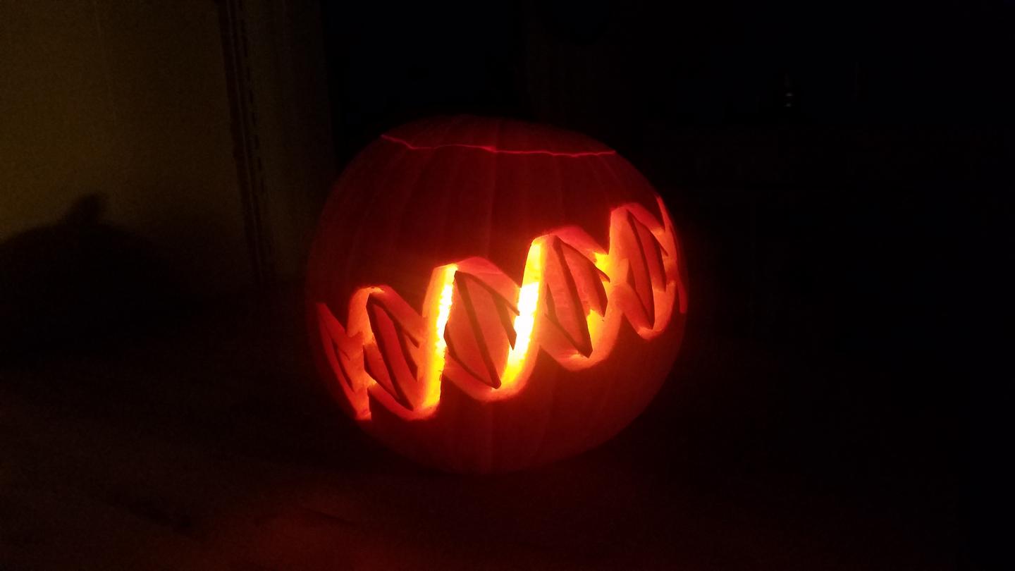 Pumpkin DNA Carving [IMAGE] | EurekAlert! Science News Releases