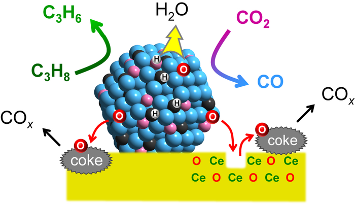 Mechanism of the catalytic act [IMAGE] | EurekAlert! Science News Releases