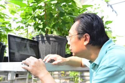 Yaya Cui, University of Missou [IMAGE] | EurekAlert! Science News Releases