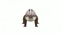 The 'crazy beast' that lived among the dinosa | EurekAlert!
