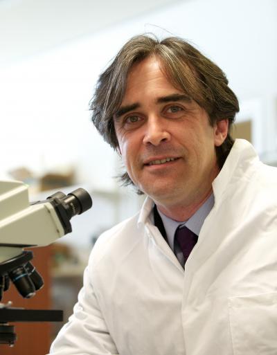 Professor Alastair Florence, U [IMAGE] | EurekAlert! Science News Releases