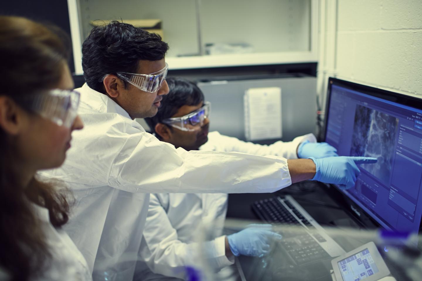 Role of cell group behavior target of $1.9 mi | EurekAlert!