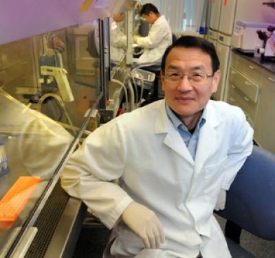 Unusual alliances enable movement | EurekAlert!