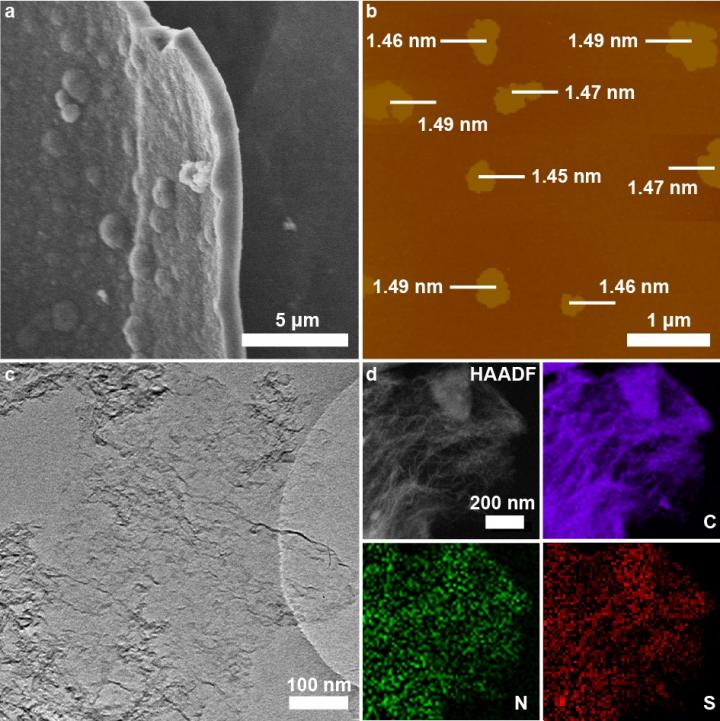 SEM, AFM and TEM Characterizat [IMAGE] | EurekAlert! Science News Releases