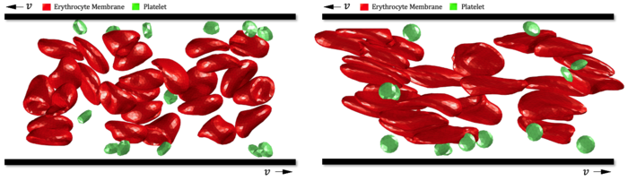 Transport dissipation particle [IMAGE] | EurekAlert! Science News Releases