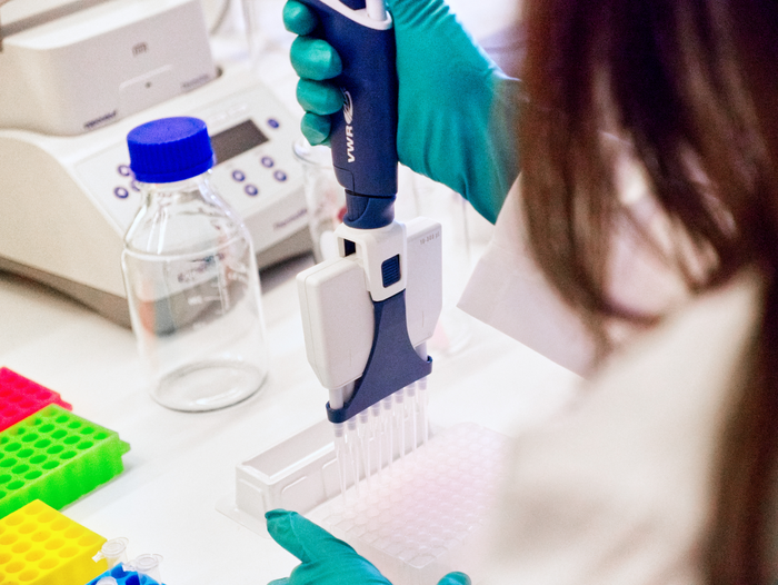 Lab photo [IMAGE] | EurekAlert! Science News Releases