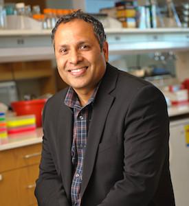 Dr. Rama Ranganathan, UT South [IMAGE] | EurekAlert! Science News Releases