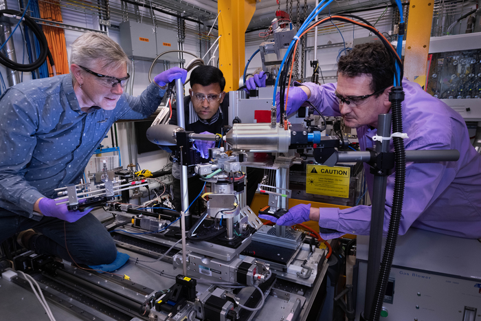 Brookhaven Lab members of the [IMAGE] | EurekAlert! Science News Releases