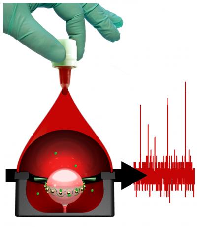 Detecting the Smallest Virus [IMAGE] | EurekAlert! Science News Releases