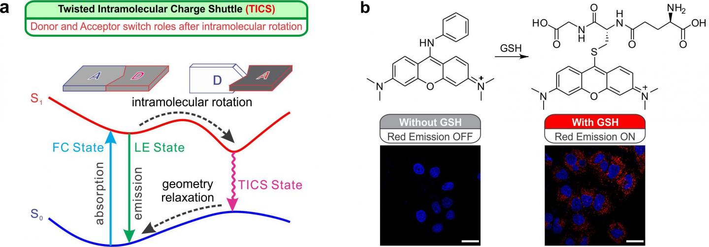 Researchers discover new charge transfer and | EurekAlert!