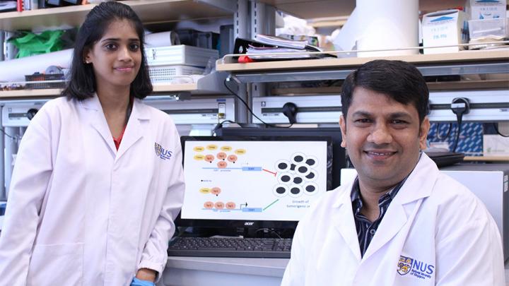 Dr Sudhakar Jha and Deepa Raja [IMAGE] | EurekAlert! Science News Releases