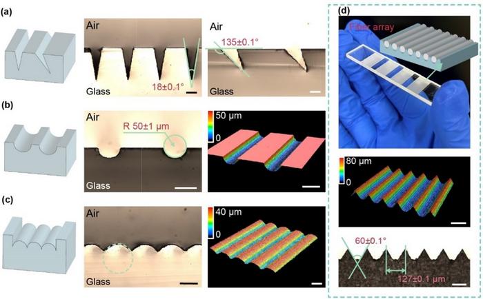 FIG 3 [IMAGE] | EurekAlert! Science News Releases