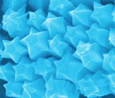 Nanostarfruit (1 of 3) [IMAGE] | EurekAlert! Science News Releases