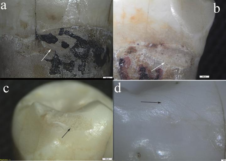 Irregular Facets of Neandertha [IMAGE] | EurekAlert! Science News Releases