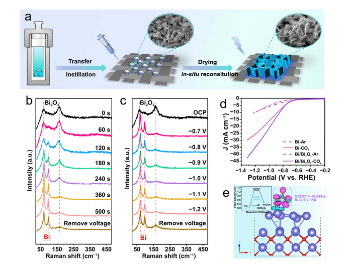 In situ Raman test and related [IMAGE] | EurekAlert! Science News Releases