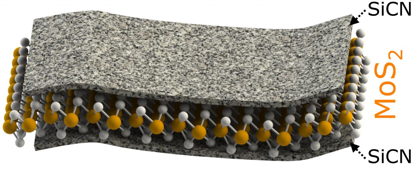 Molybdenum Disulfide Sheets [IMAGE] | EurekAlert! Science News Releases