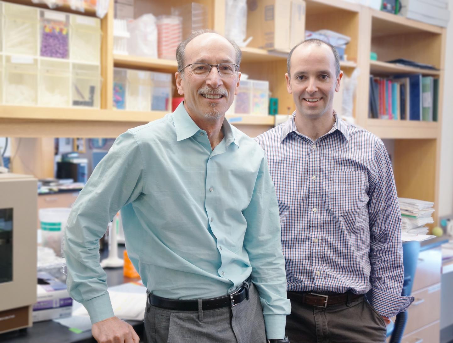 David Warshaw and Michael Prev [IMAGE] | EurekAlert! Science News Releases