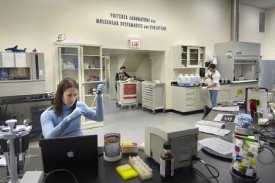 DNA Discovery Center | EurekAlert!