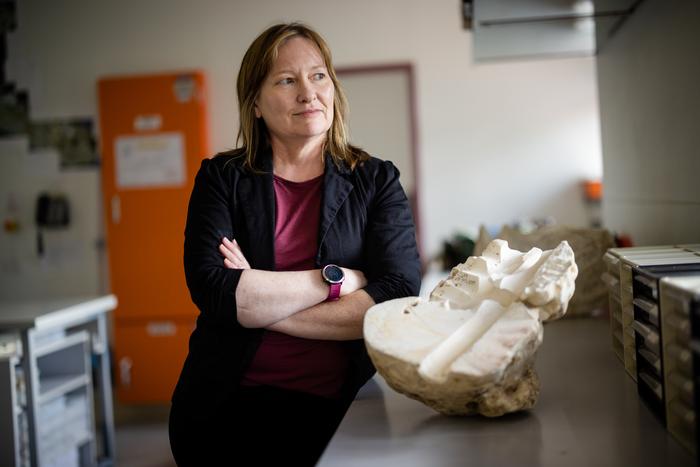 Professor Helen McGregor [IMAGE] | EurekAlert! Science News Releases