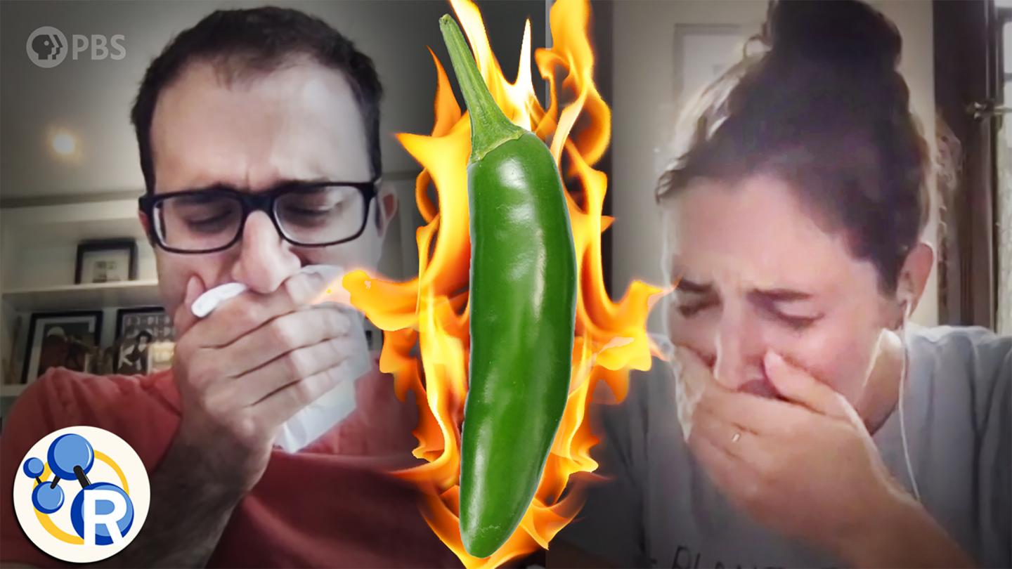 How to beat spicy pepper heat (hint: milk isn | EurekAlert!