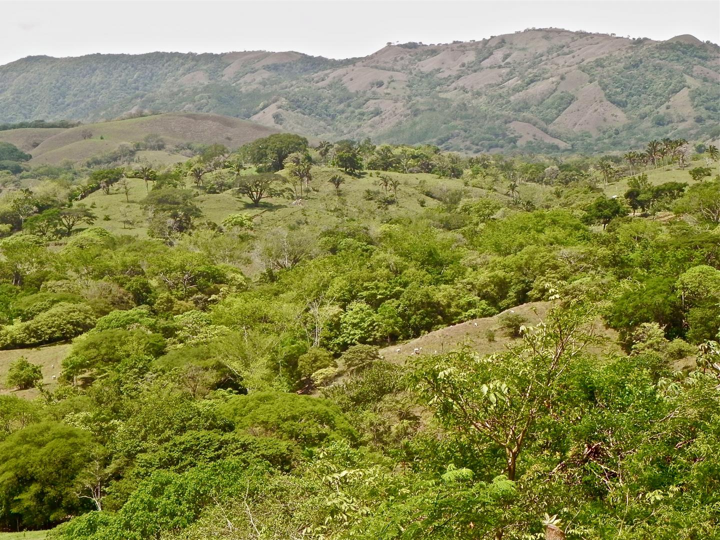 Carbon Sequestration Potential [IMAGE] | EurekAlert! Science News Releases