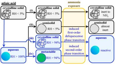 Effect of Phase on Adipic Acid [IMAGE] | EurekAlert! Science News Releases