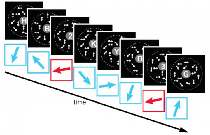 The Visual Learning Task [IMAGE] | EurekAlert! Science News Releases