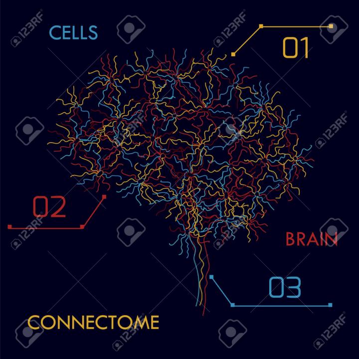 Faster performance evaluation of 'super graph | EurekAlert!