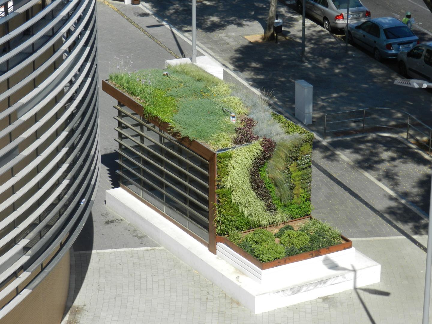 Green Roof [IMAGE] | EurekAlert! Science News Releases
