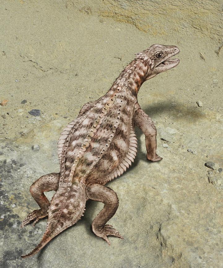Ancient Swiss reptile shows its bizarre scale | EurekAlert!
