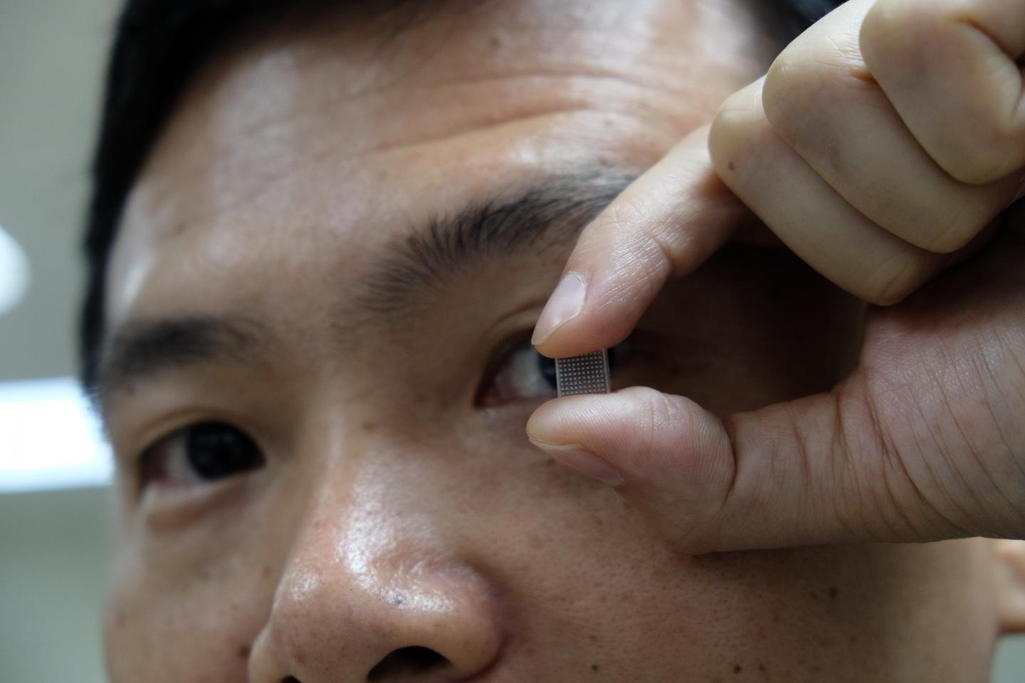 Image 3 [IMAGE] | EurekAlert! Science News Releases