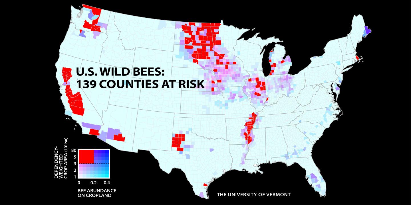 Map of US Wild Bees: 139 Count [IMAGE] | EurekAlert! Science News Releases